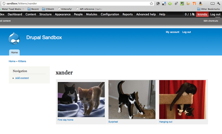Using Drupal Contextual Filters In Views